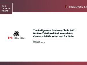 RBC creating greater access to banking services for Indigenous Peoples ...